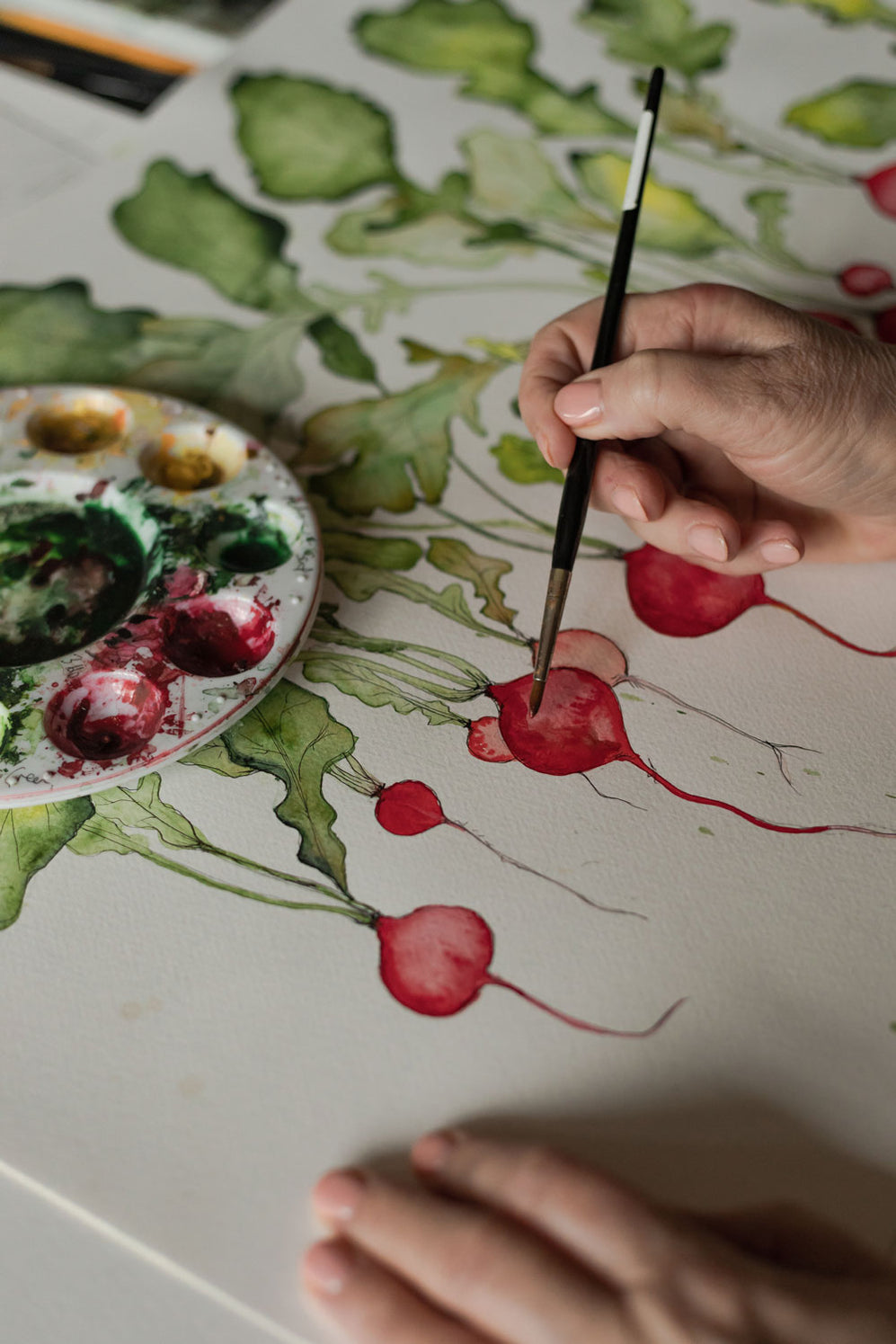 Bertioli-x-lorfords– Thyme & Bertioli