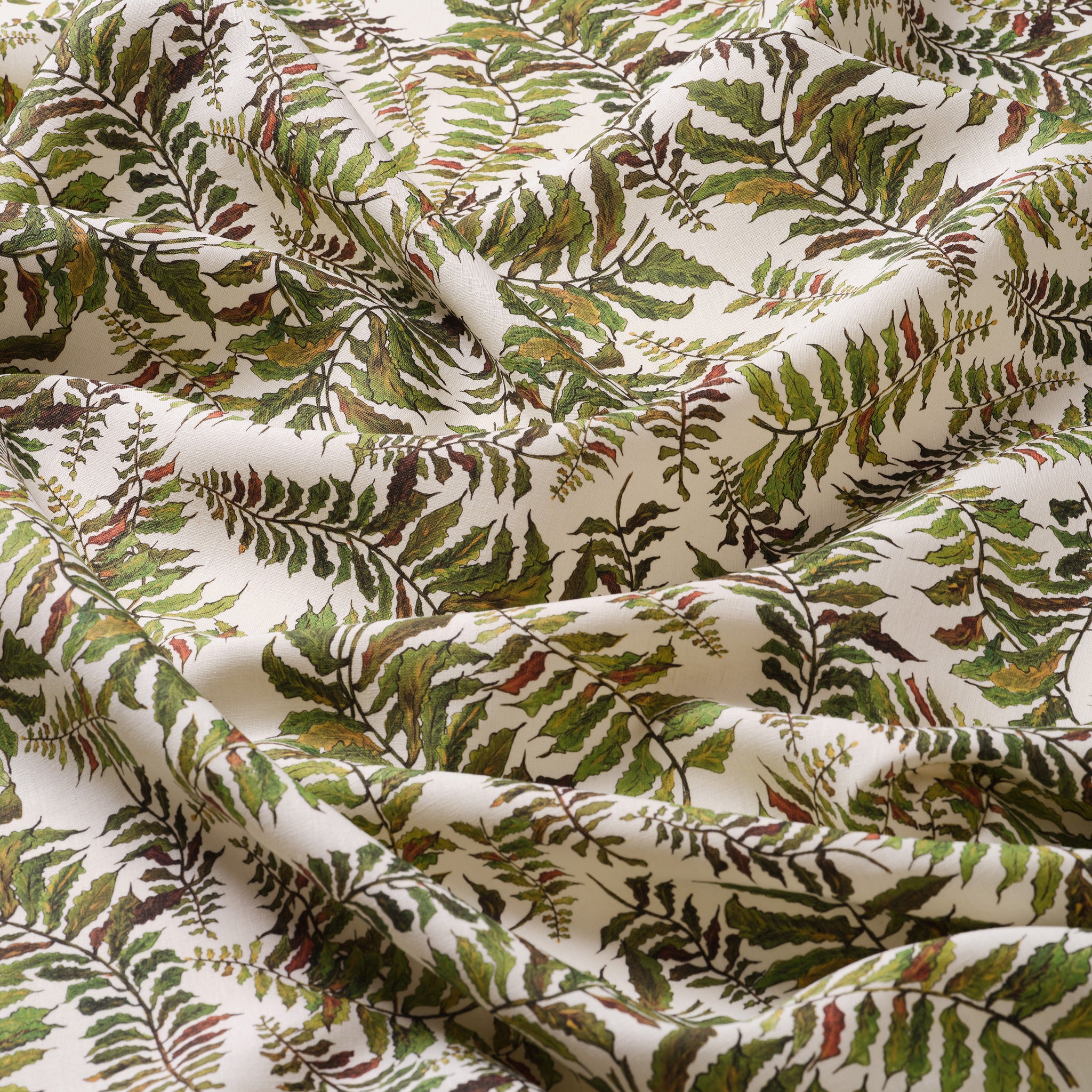 Fern Fabric– Thyme & Bertioli