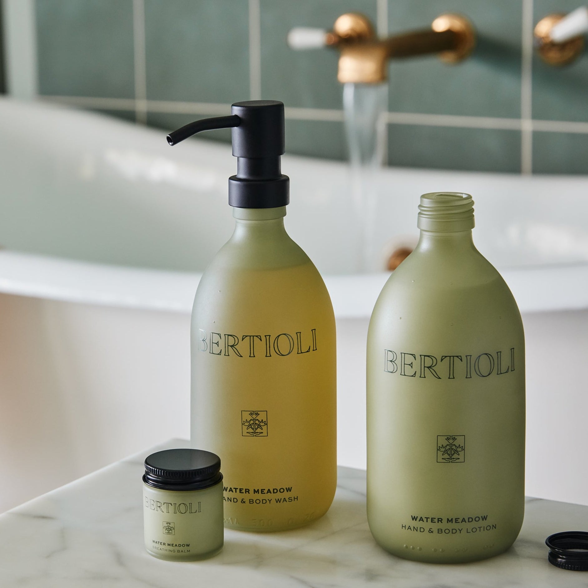 Thyme Shop– Thyme & Bertioli