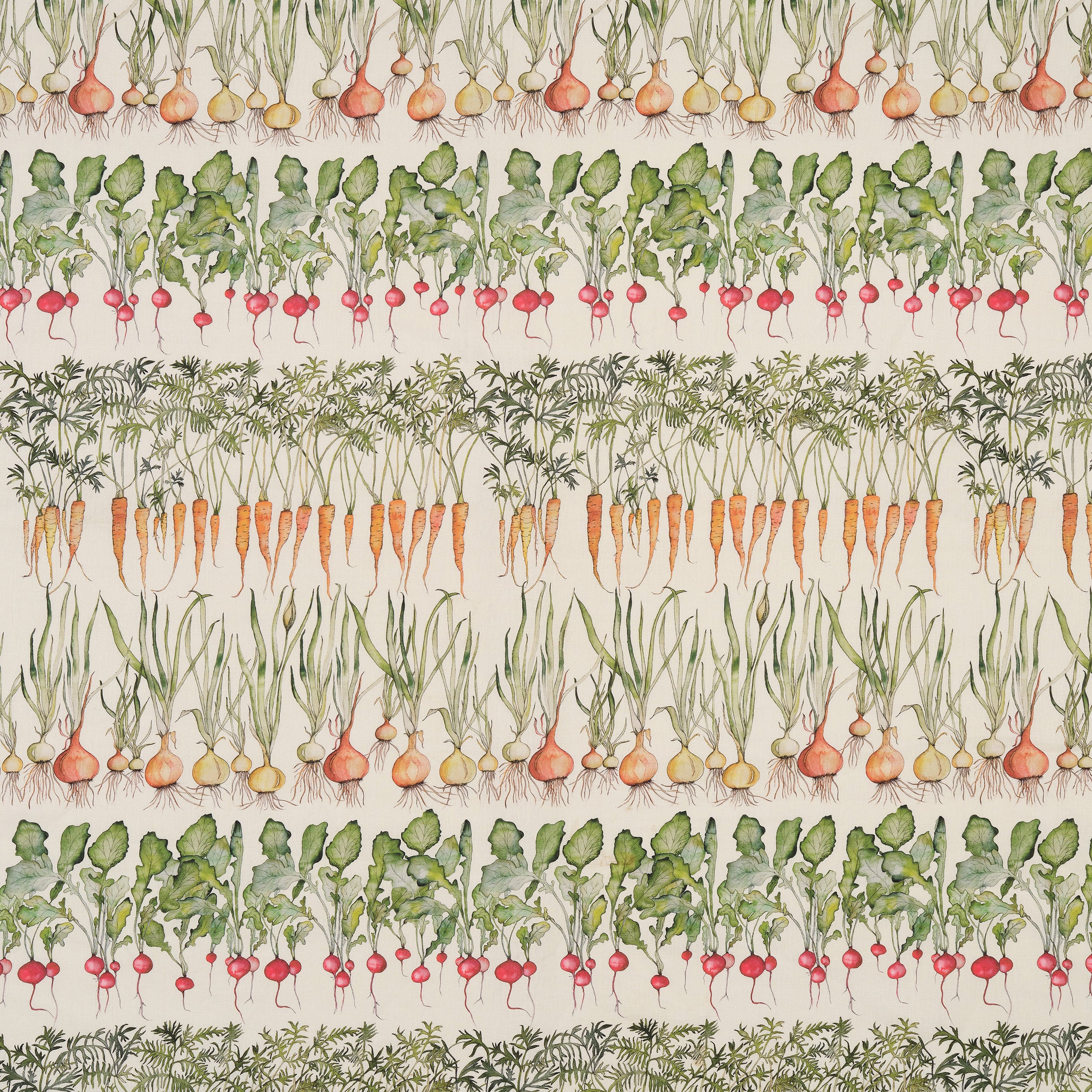 Bertioli-x-lorfords– Thyme & Bertioli