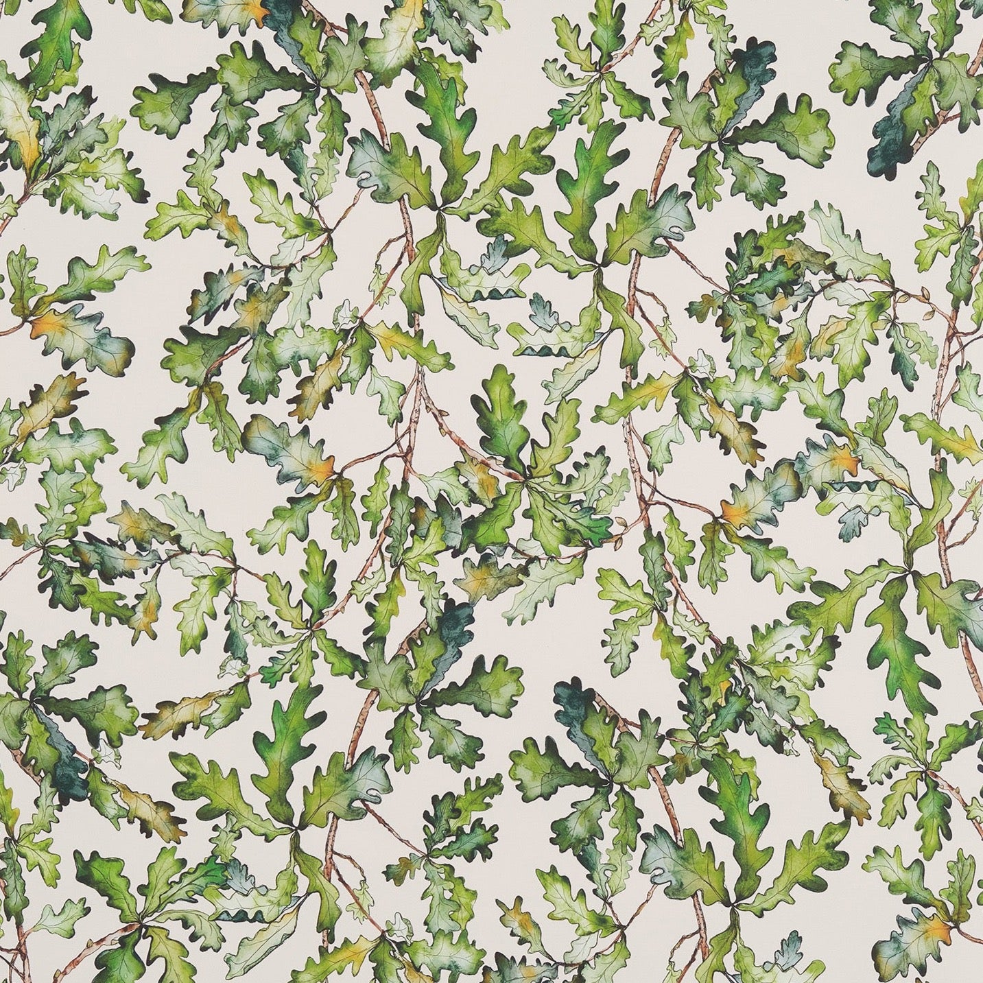 Oak Leaf Wallpaper – Thyme & Bertioli