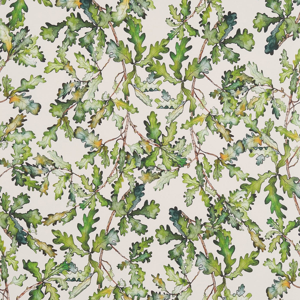 Oak Leaf Wallpaper– Thyme & Bertioli