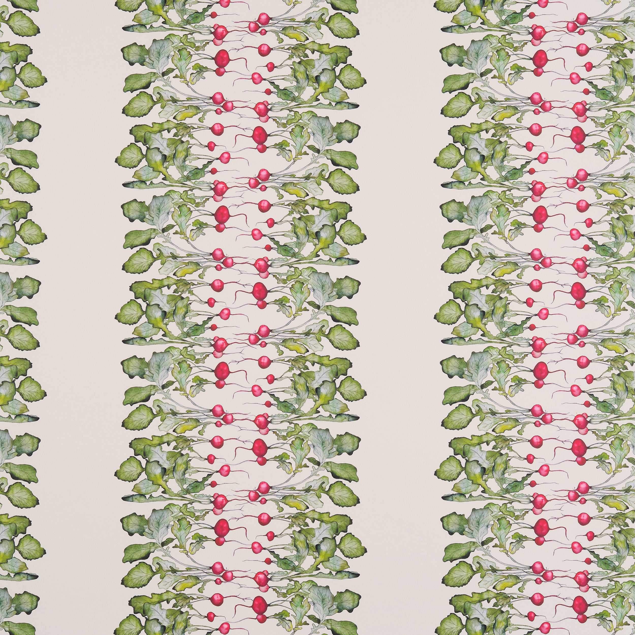 Radish Stripe Wallpaper – Thyme & Bertioli