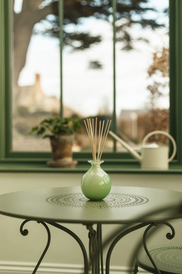 Hello Pimlico – Thyme & Bertioli