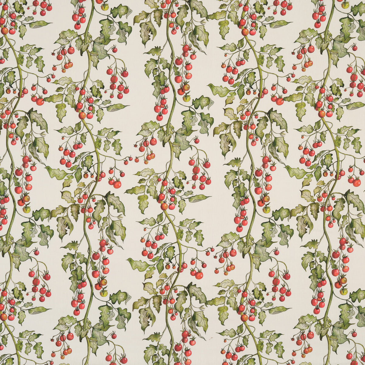 Tomato Vine Fabric– Thyme & Bertioli