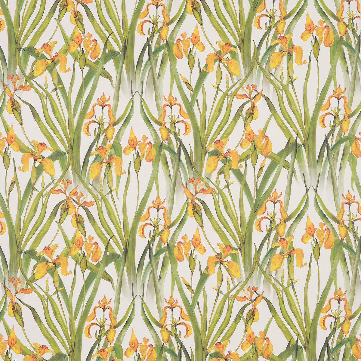 Yellow Iris Small Wallpaper– Thyme & Bertioli